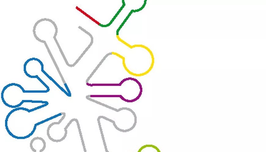 1ère spé Exercice L’Epissage Alternatif – Madame Dellon-Sy Online